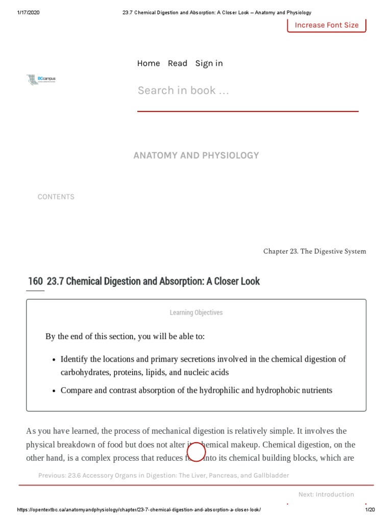 Chemical Digestion and Absorption - A Closer Look - Anatomy and ...