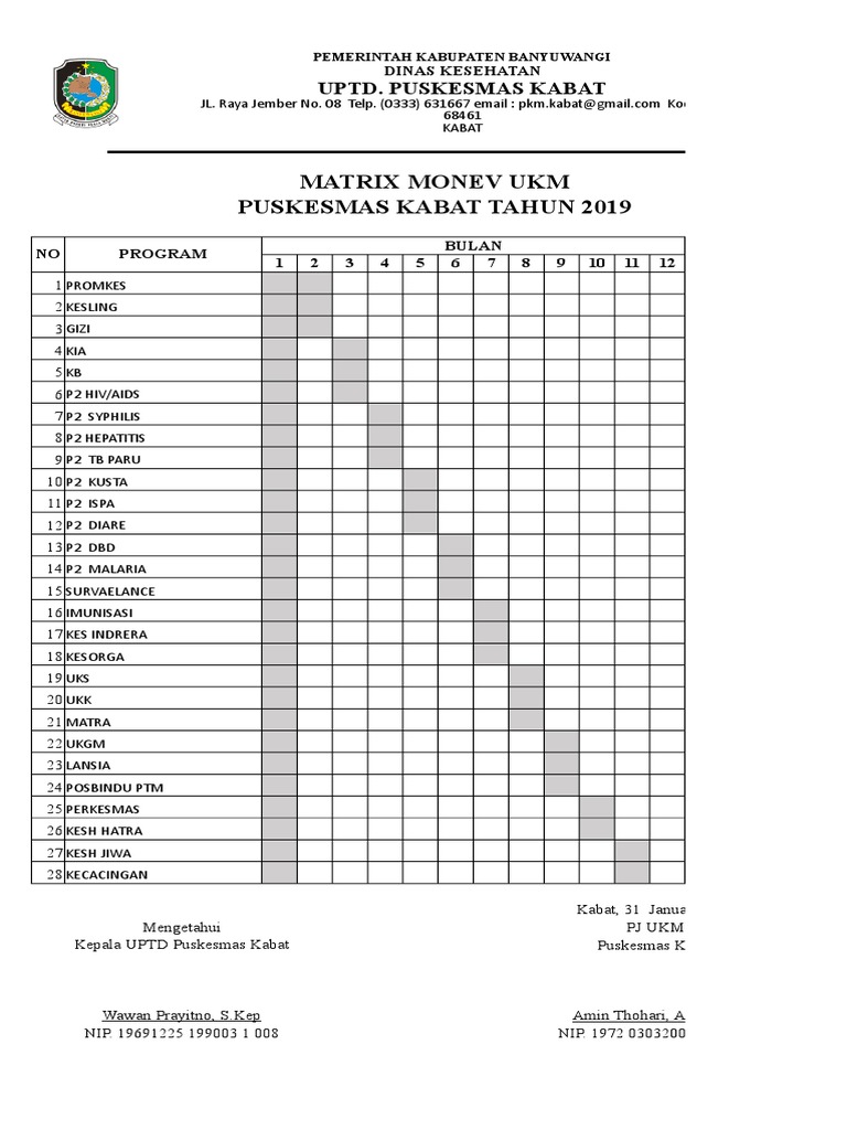 Matrix Monev 2019 | PDF