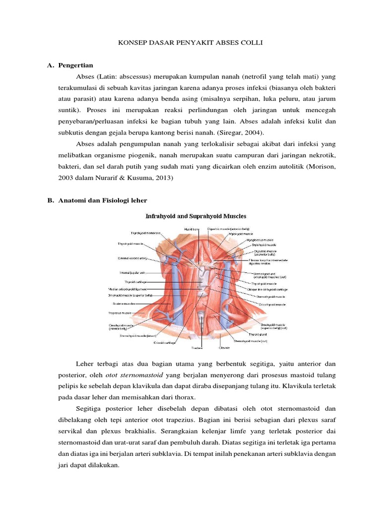 Konsep Dasar Penyakit Abses Colli | PDF