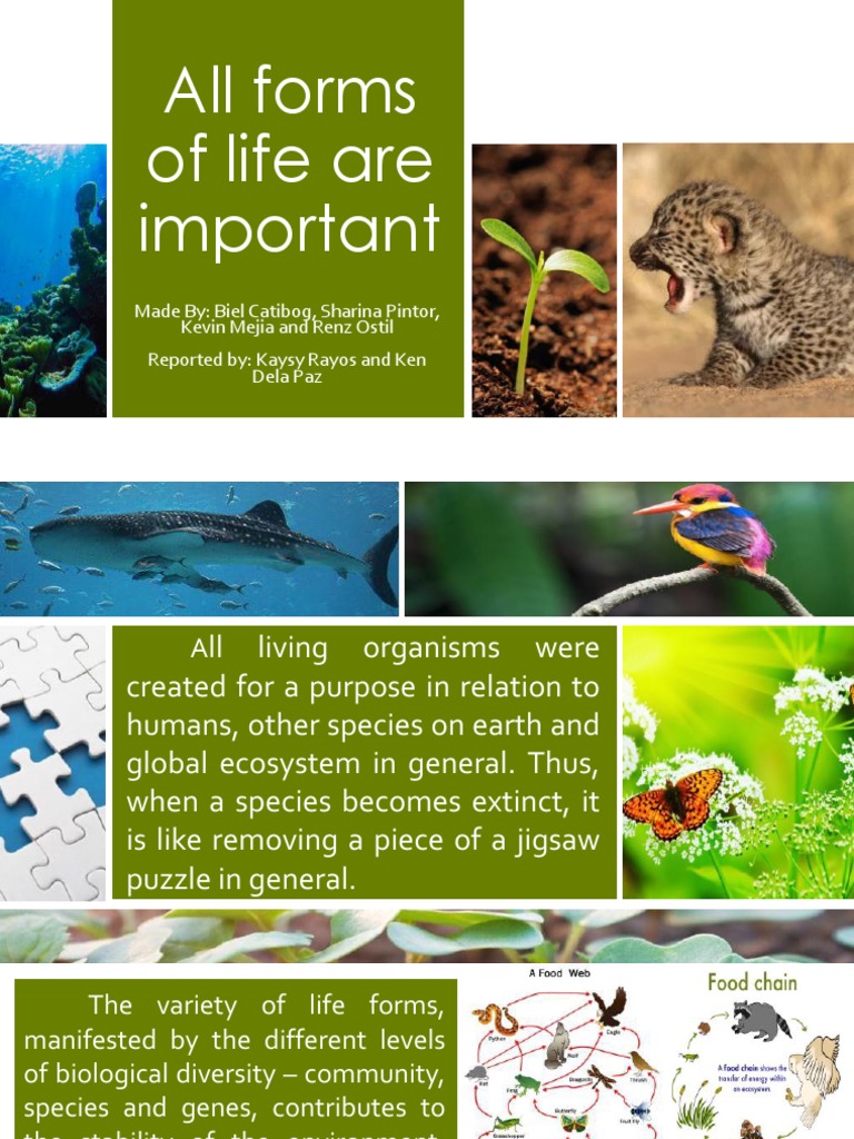 All Forms of Life Are Important | PDF | Biodiversity | Conservation Biology