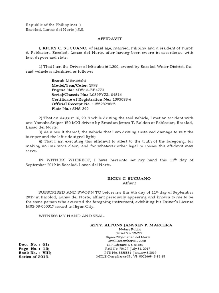 Affidavit of Own Damage | Affidavit | Document