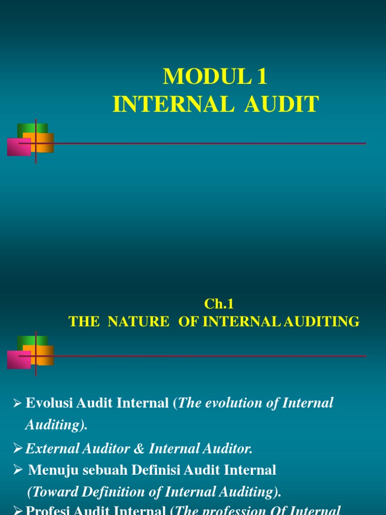 Modul 1 - The Nature of Internal Auditing | PDF