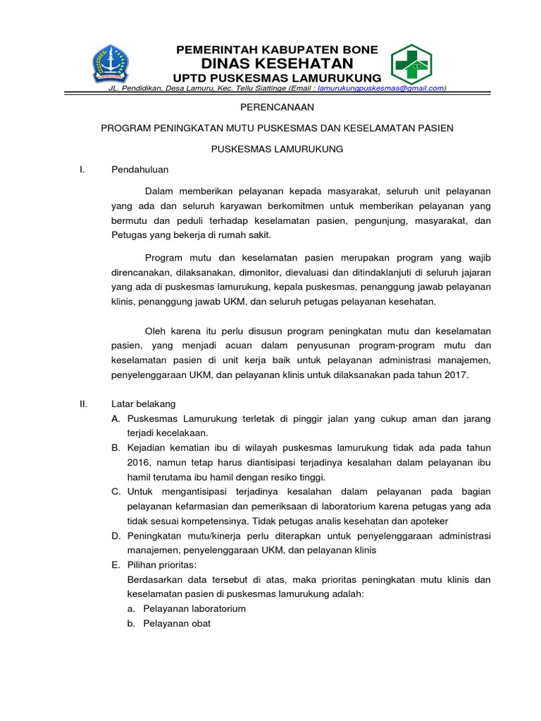 Contoh Program Peningkatan Mutu Puskesmas Dan Keselamatan Pasien | PDF