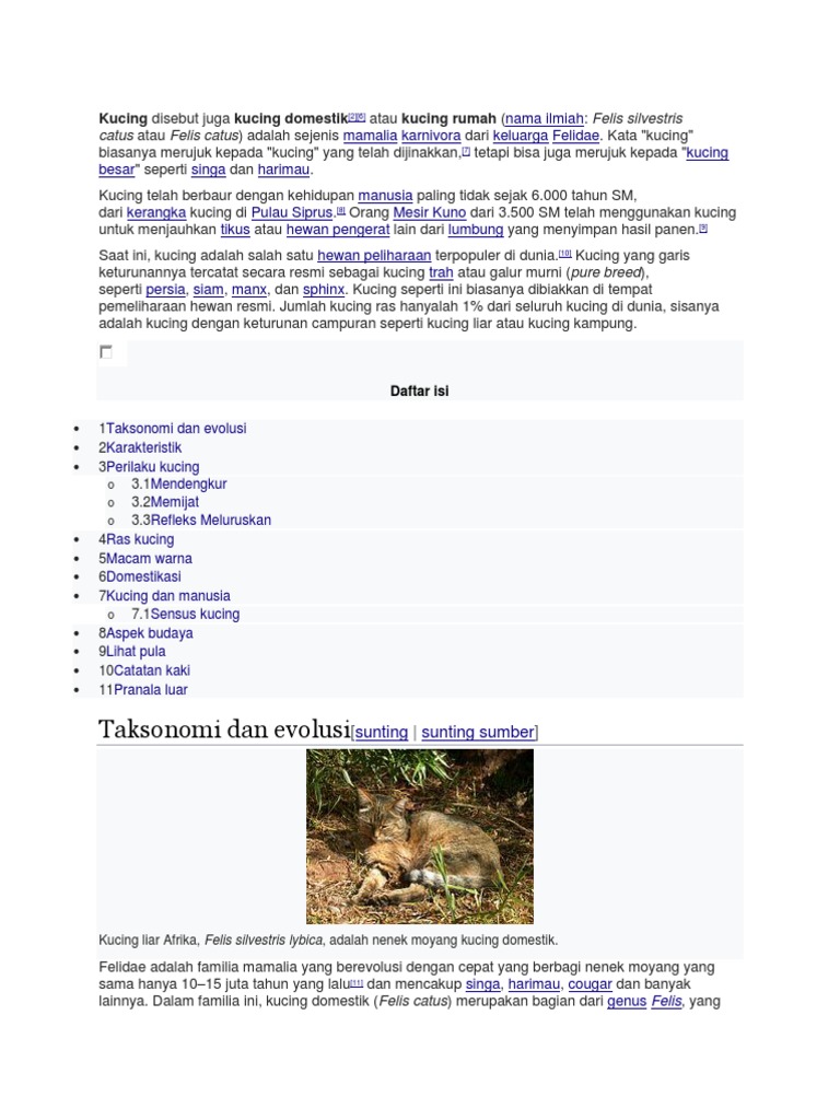 Kucing Adalah Hewan | PDF