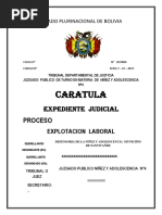 Caratula de Expediente Judicial | PDF