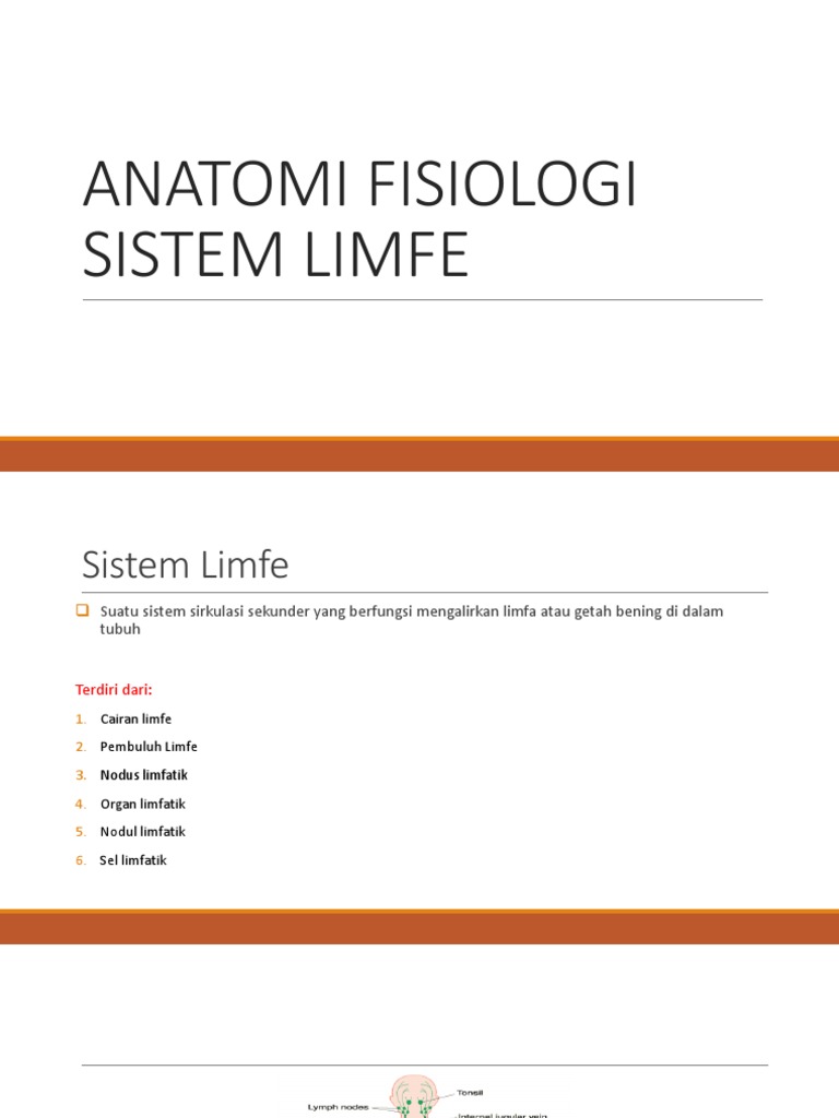 Anatomi Fisiologi Sistem Limfe | PDF