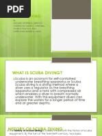 Beginner's Guide to Scuba Diving | PDF | Scuba Diving | Underwater Diving