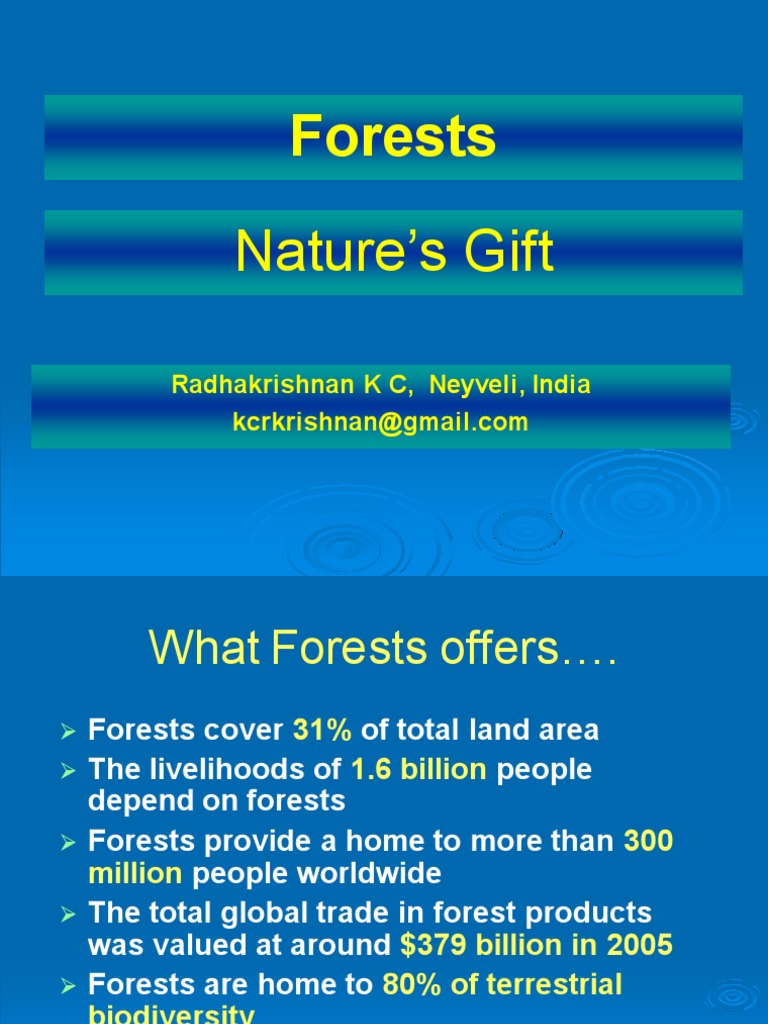 Importance of Forests for Ecosystems | PDF | Biodiversity | Deforestation