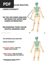 Posterior Inferior Subluxation Ilium | PDF | Pelvis | Musculoskeletal ...