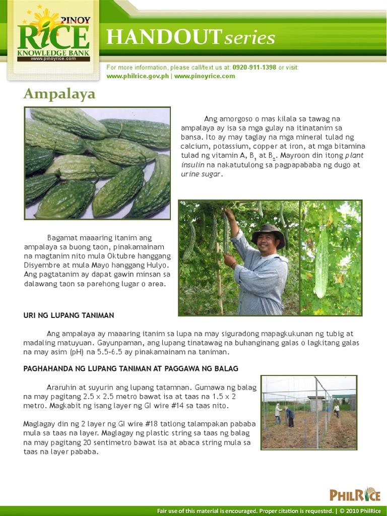 Ampalaya | PDF