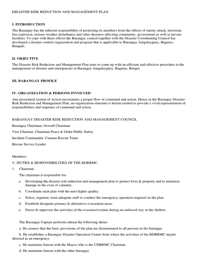 Disaster Risk Reduction and Management Plan | PDF | Emergency ...
