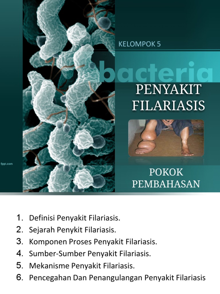 Ppt. Kelompok 5 Penyakit Filariasis | PDF