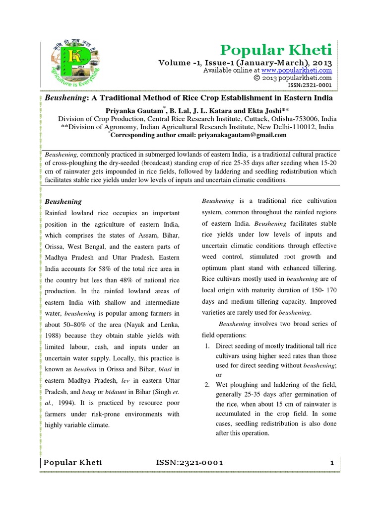 Beushening A Traditional Method of Rice Crop Establishment in Eastern ...