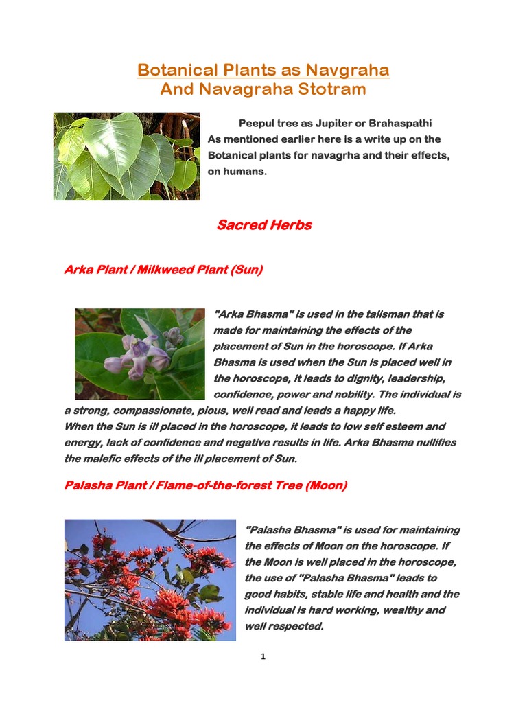 Botanical Plants As Navgraha With Navagraha Stotram | PDF | Technical ...