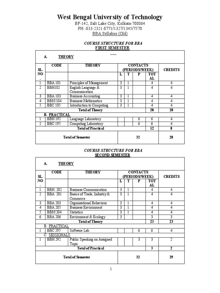 BBA Syllabus Old | PDF | Strategic Management | C (Programming Language)