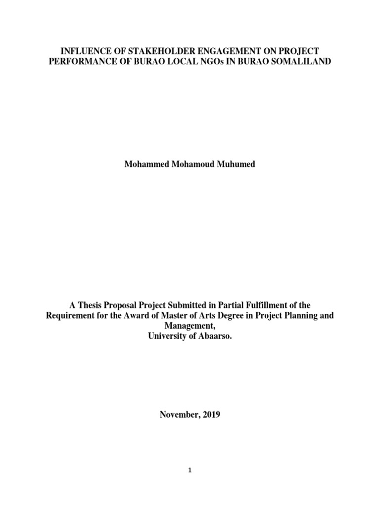 Stakeholder Engagement's Impact on NGOs | PDF | Performance Indicator ...