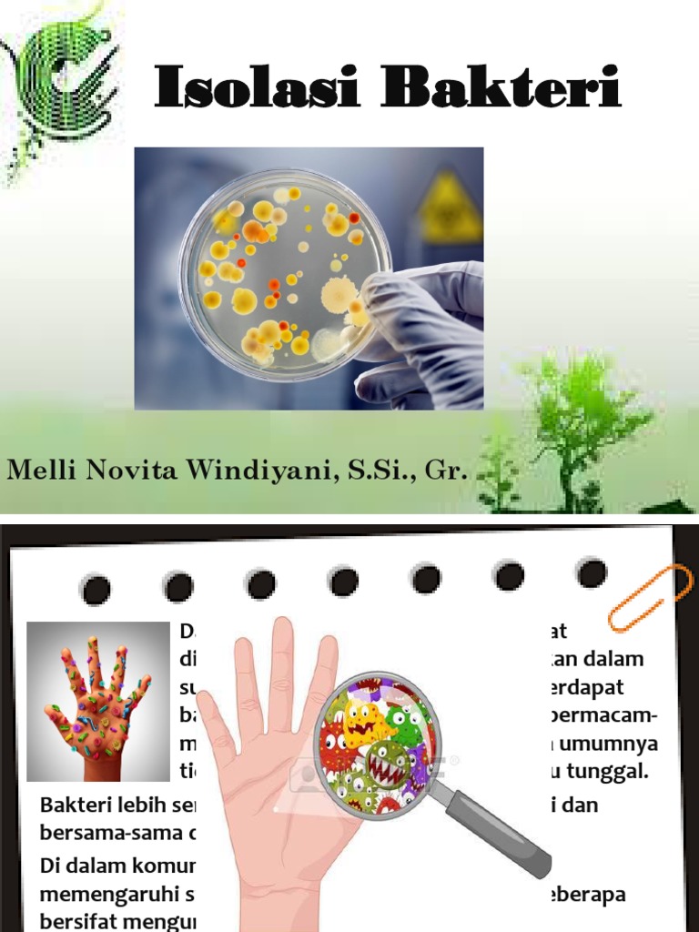 Isolasi Dan Inokulasi | PDF