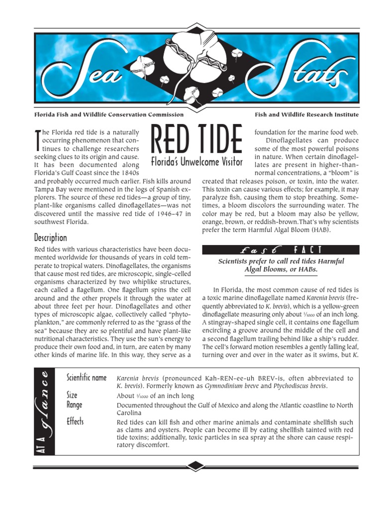 Sea Stats - Red Tide | PDF | Bivalvia | Oceanography