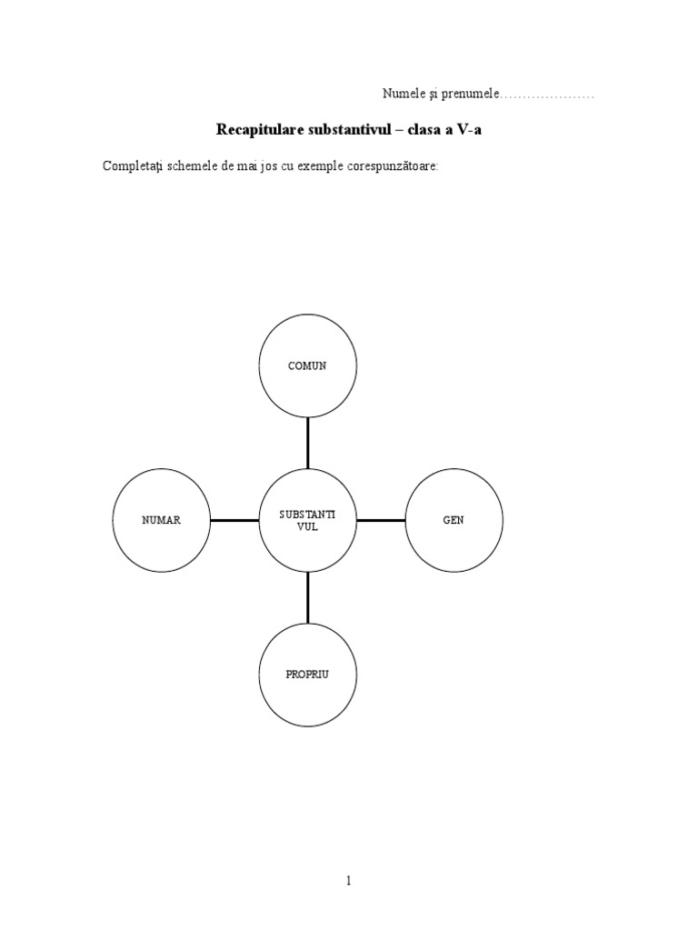 Substantivul Schema Recapitulativa Fisa de Lucru V | PDF