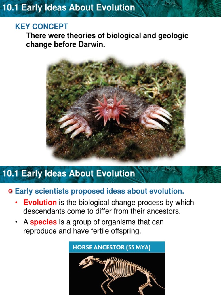 Early theories and evidence of biological evolution | PDF | Natural ...
