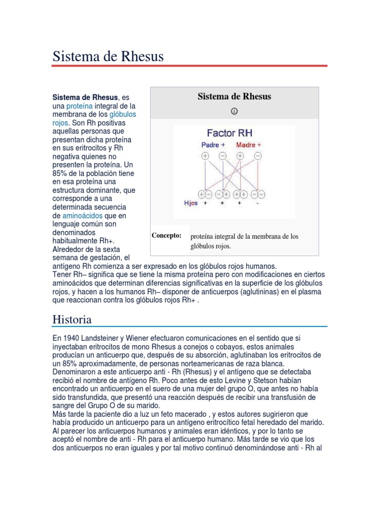 Sistema Rhesus: Antígenos y Anticuerpos | PDF | Anticuerpo | Inmunología
