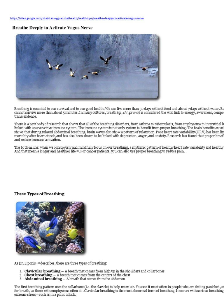 Activate Vagus Nerve with Deep Breathing | PDF | Breathing | Relaxation ...