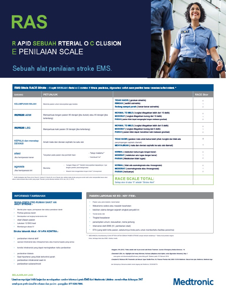 Race Stroke Scale Dc00038776.en - Id | PDF