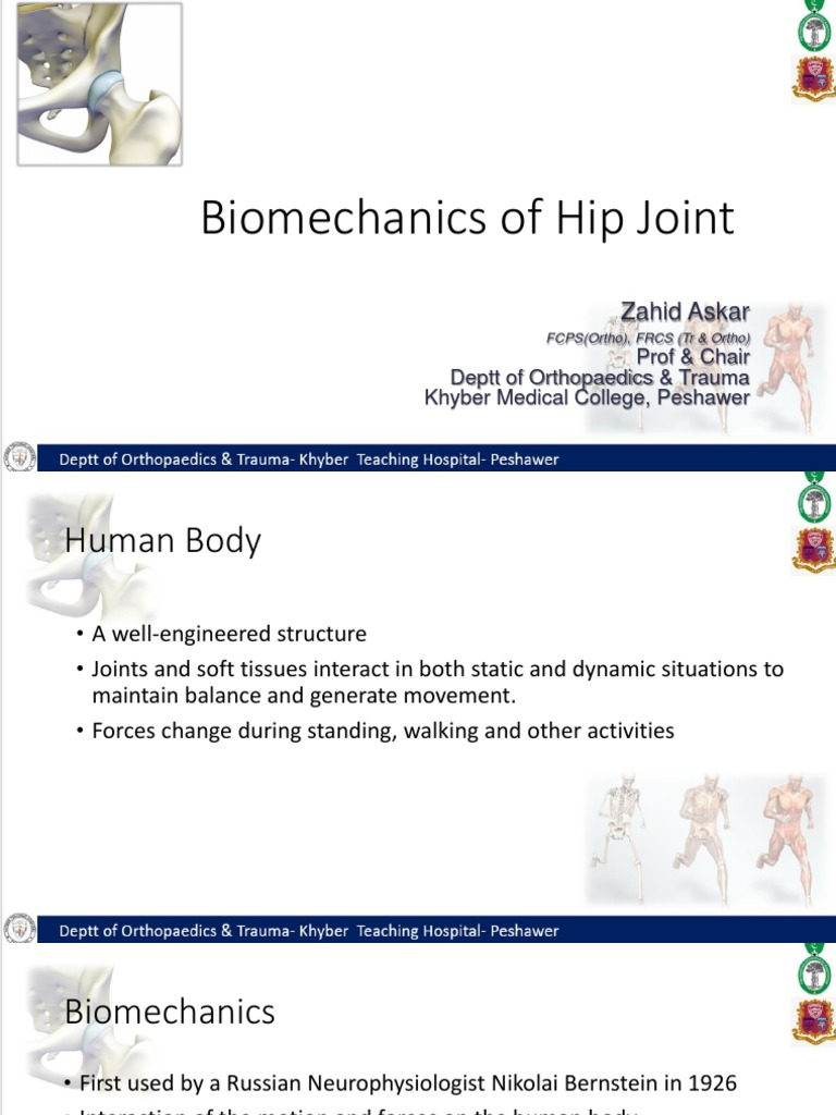 Biomechanics Hip | PDF | Hip | Musculoskeletal System