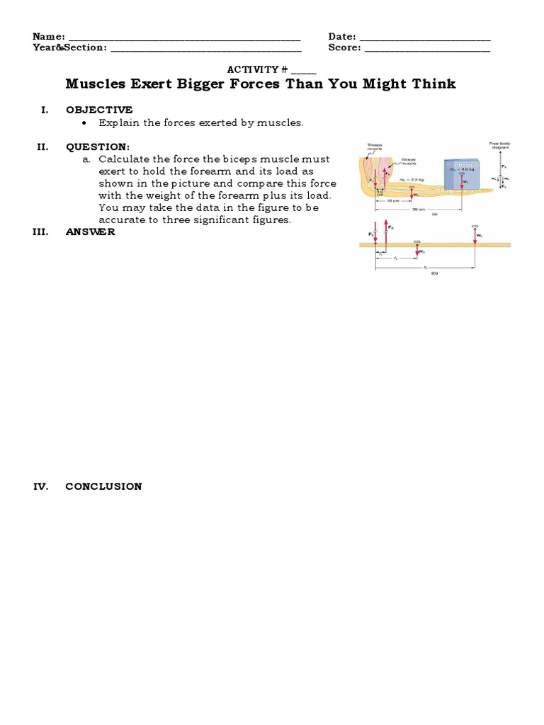 Muscles Exert Bigger Forces Than You Might Think | PDF