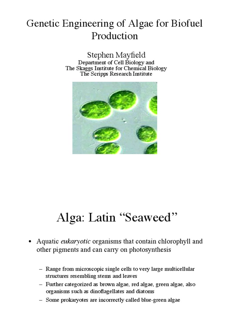 Genetic Engineering of Algae for Accelerated Domestication and Biofuel ...