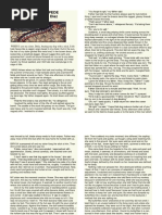 8th Grade The Great Rat Hunt | PDF