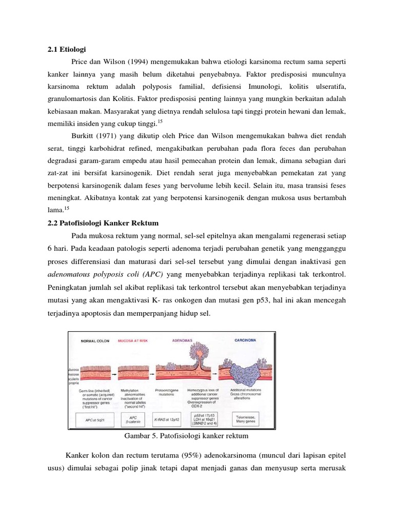 Etiologi | PDF | Pengembangan Diri | Kesehatan Holistik