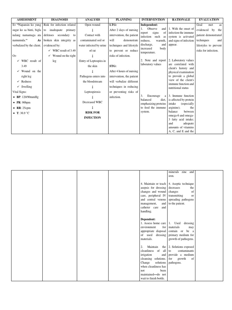 Risk-For-Infection Sample NCP | PDF | Infection | Epidemiology