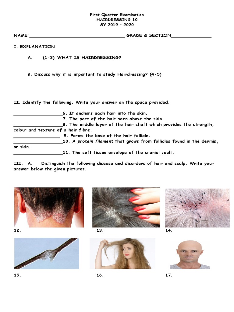 Level 2 Hairdressing Exam Questions | PDF | Hair | Skin