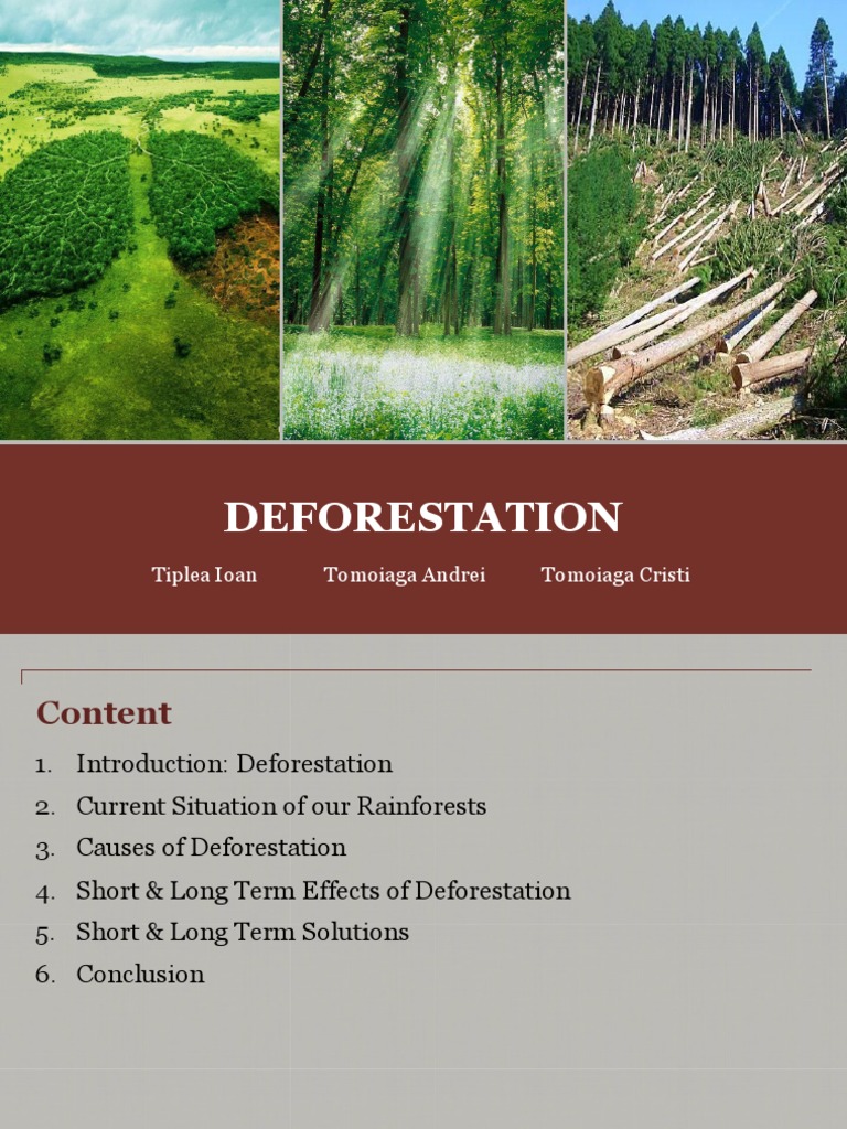 Deforestation: Causes, Effects, Solutions | PDF | Deforestation ...