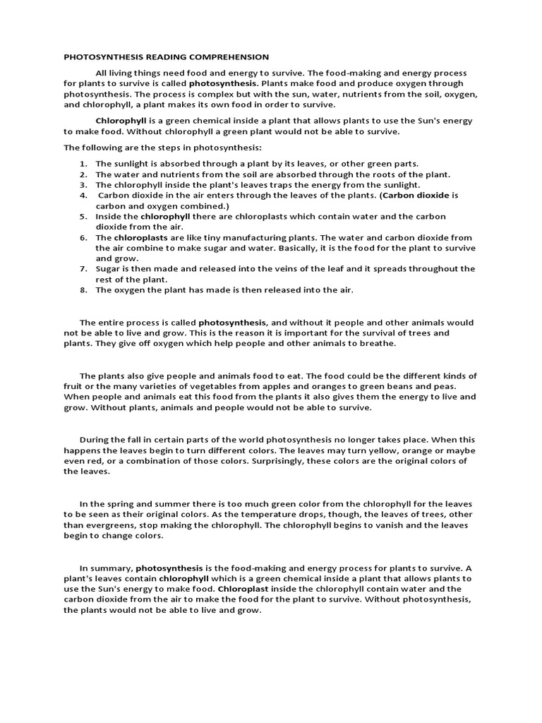 Photosynthesis Reading Comprehension | PDF | Plants | Leaf