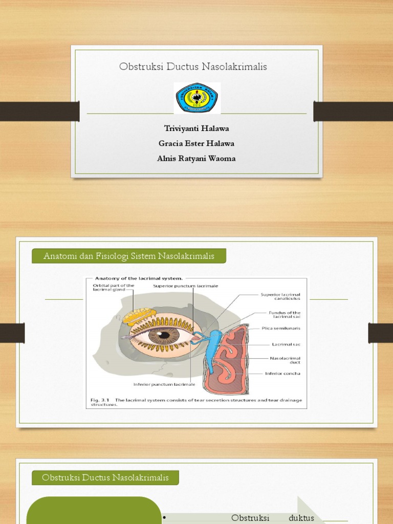 Tugas PPT Mata | PDF