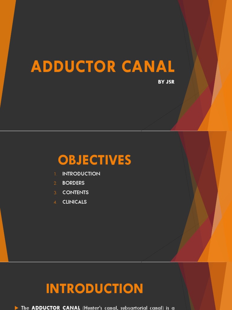 The Adductor Canal: Borders, Contents, and Clinical Applications | PDF ...