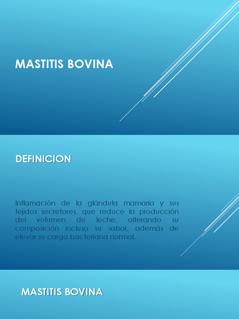 Presentacion Mastitis Bovina | PDF | Leche | Vacas