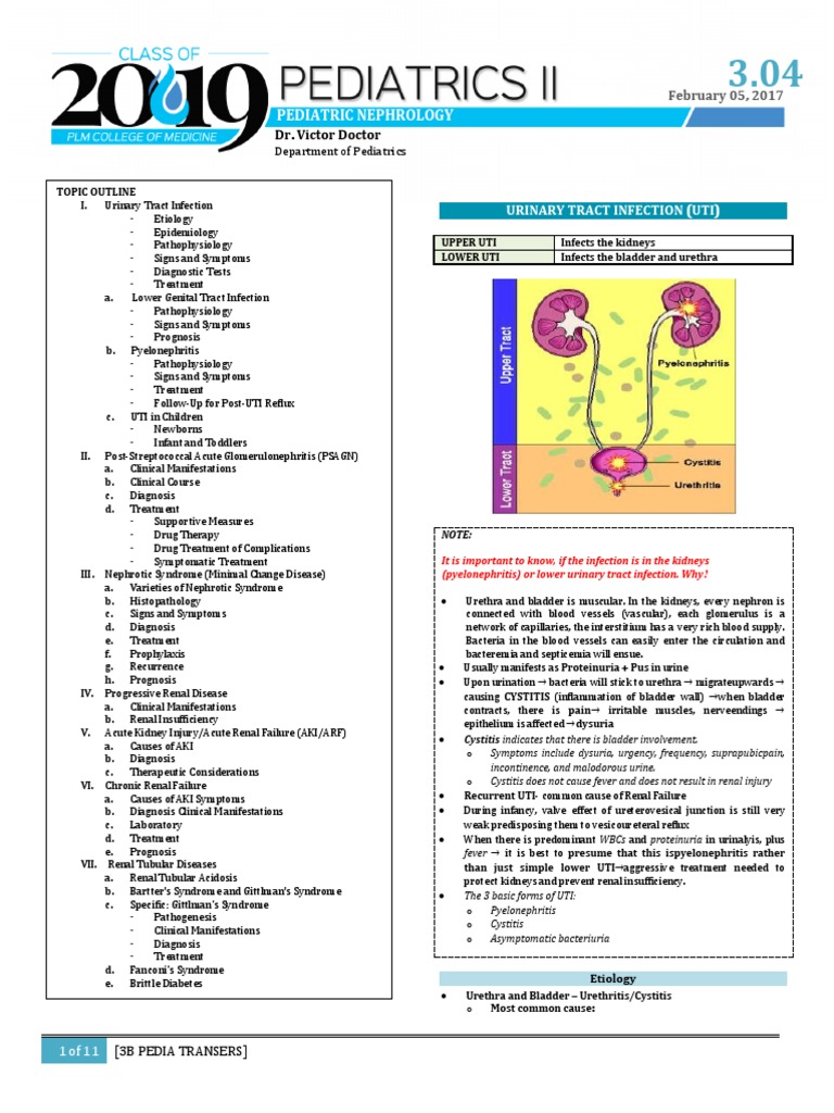 Pedia 2 3.04 Pediatric Nephrology | PDF | Urinary Tract Infection ...