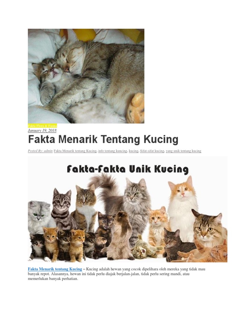 Fakta Kucing | PDF