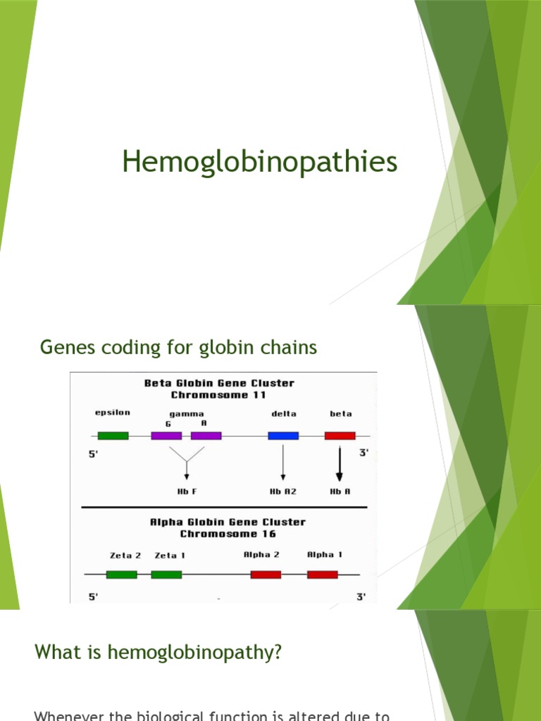 Understanding Hemoglobinopathies and Thalassemia | PDF | Anemia ...