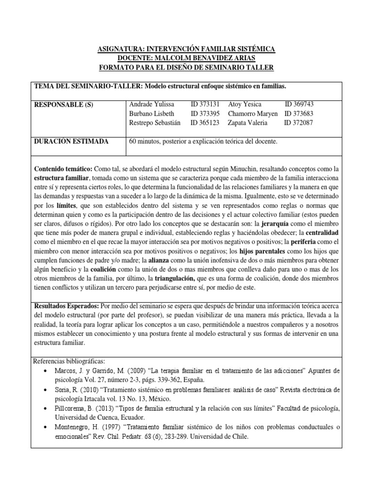 Seminario Modelo Estructural | PDF | Familia | Psicoterapia