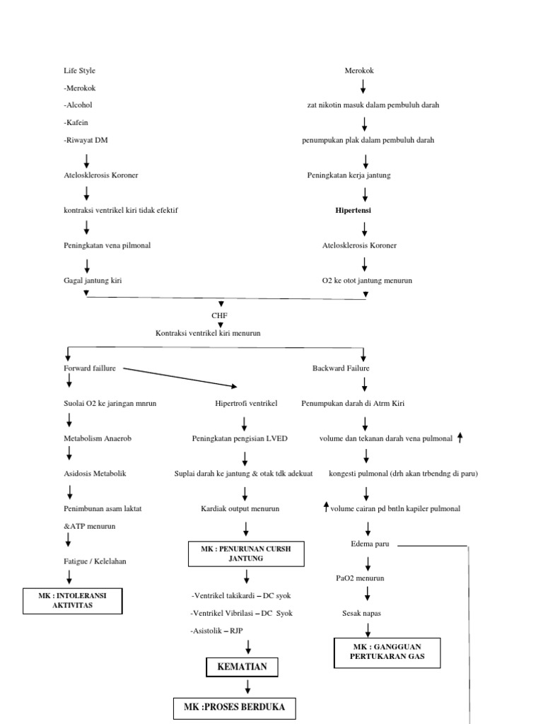 Pathway CHF | PDF