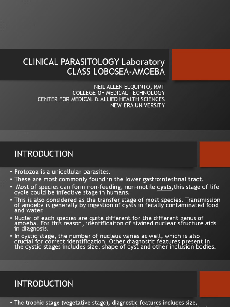 Lab Activity1 - Lobosea | PDF | Biology | Organisms
