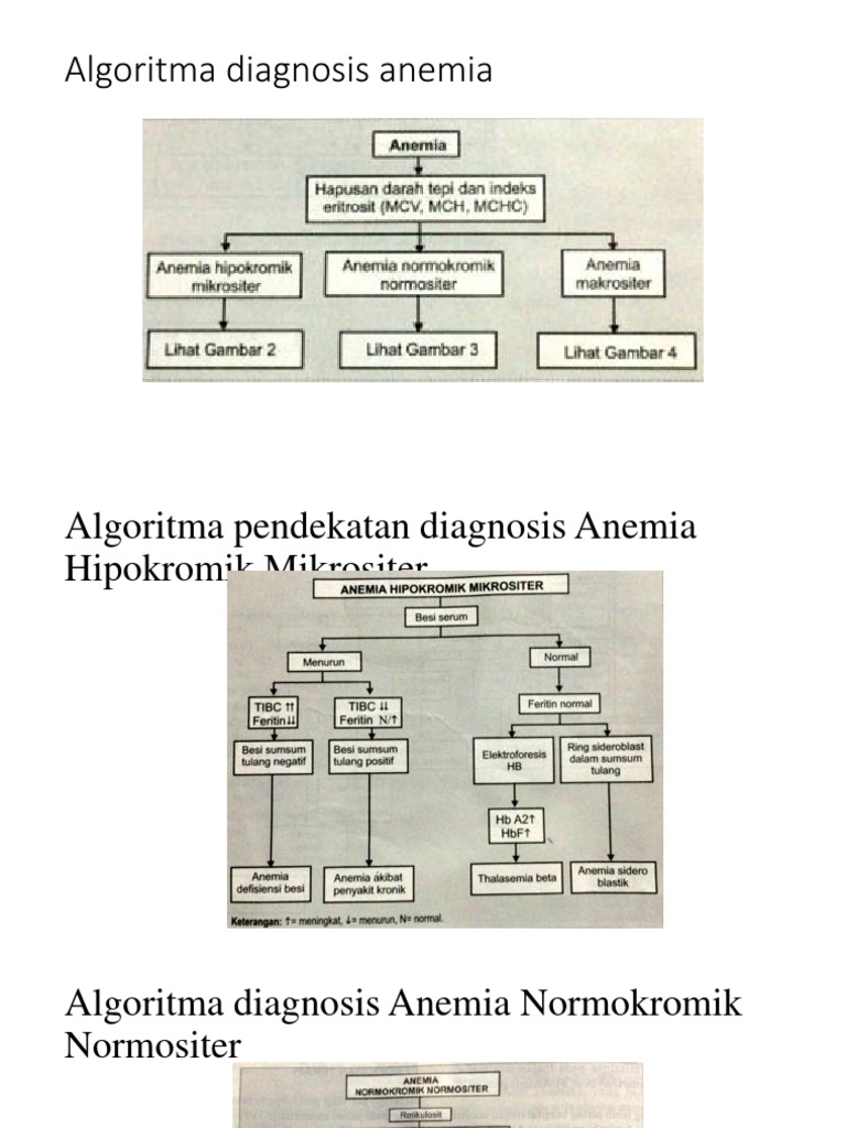 Algoritma Diagnosis Anemia | PDF