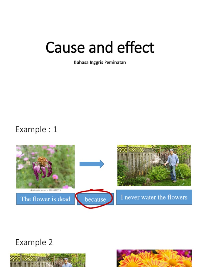 Cause and Effect | PDF | Syntax
