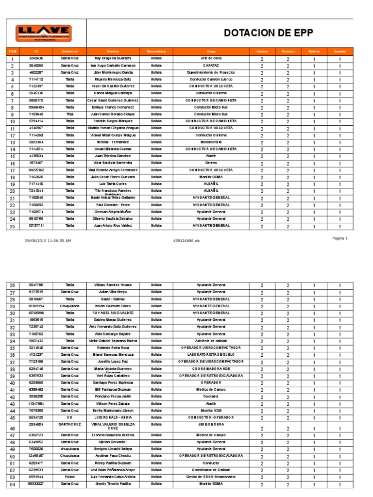 Dotacion de Epp | Descargar gratis PDF | Bolivia