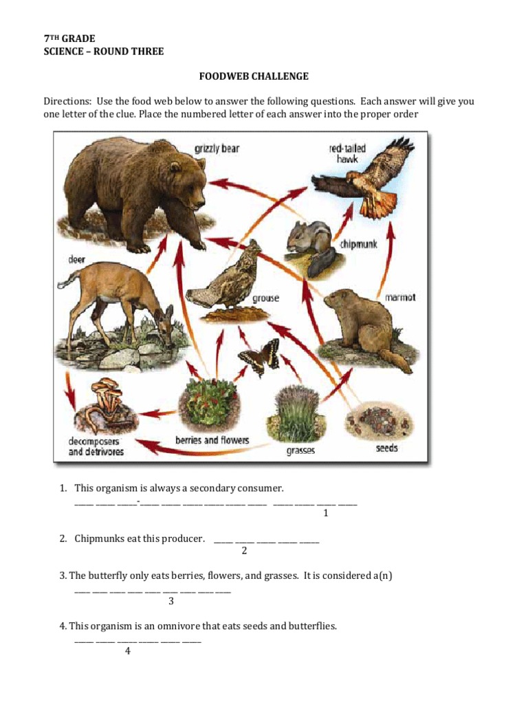 Science Questions r3 7th | PDF | Organisms | Nature