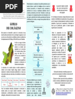 Osa Irete | PDF | Mitología | Religión étnica